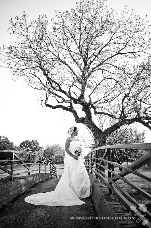 Bridal: Beth | Dallas Wedding Photographer Wisner Photo